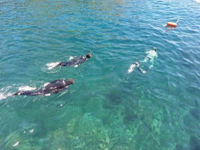 Las 10 MEJORES Ofertas para Bucear en Azores de 2024